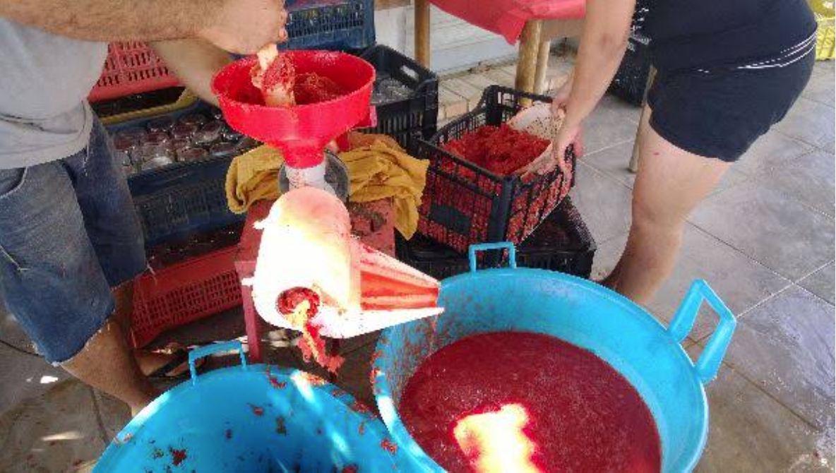 The Cultural Attractiveness of Passata Day - Allora! Italian Australian ...