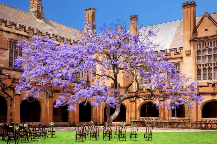 Eneide Mignacca: Il “Maledetto Toscano” - Allora! Italian Australian News