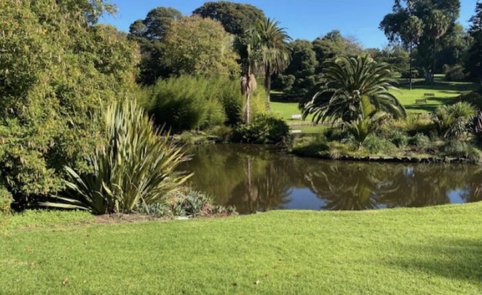 Tom Padula Visits A Living Sanctuary: Melbourne’s Royal Botanic Gardens ...